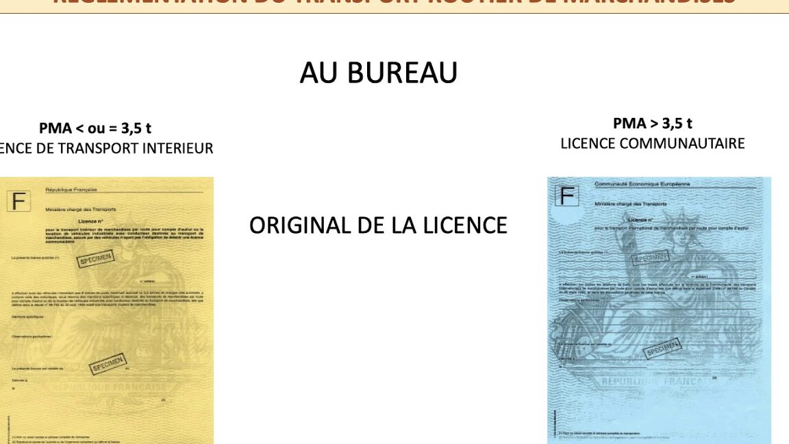 Différence entre Diplôme et Licence : Comprendre les Distinctions ...